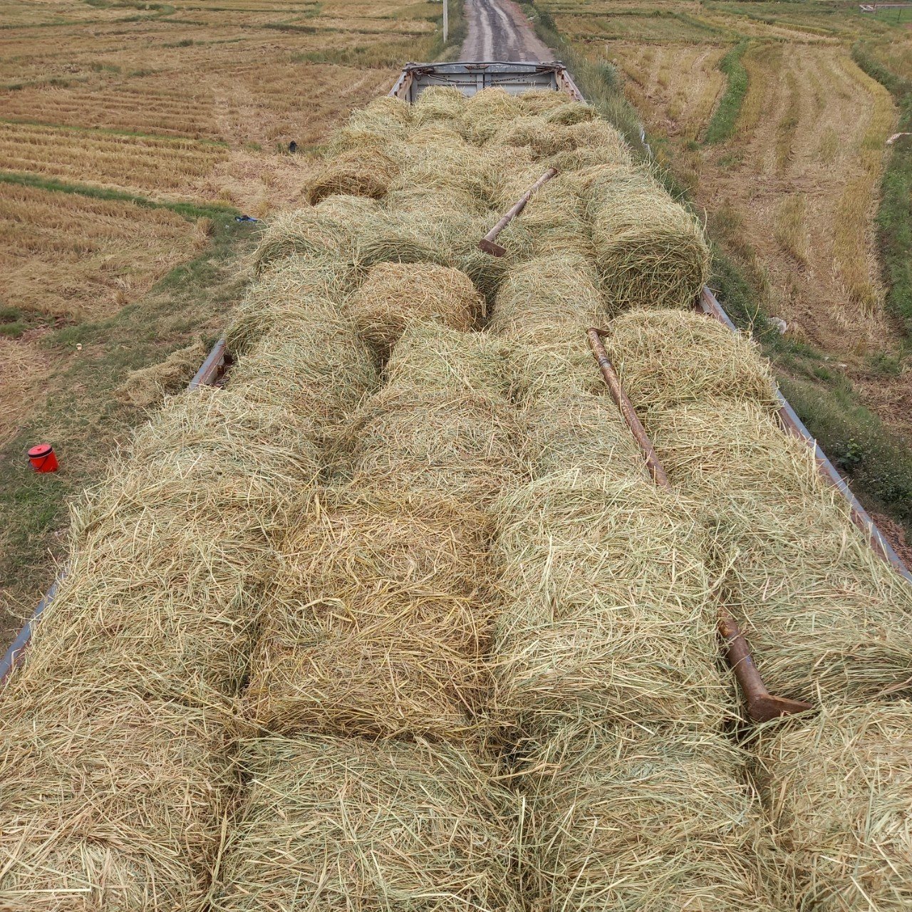 TVC VIET NAM INTERNATIONAL IMPORT EXPORT COMPANY LIMITED